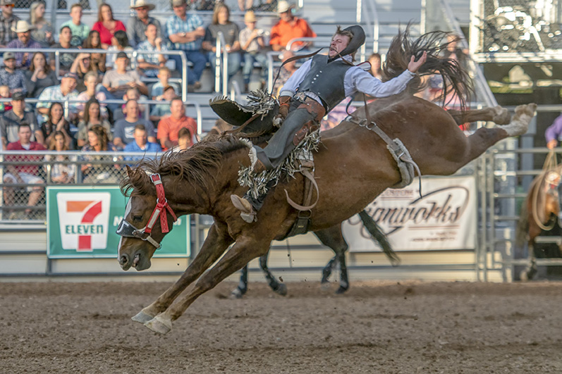 Ute Stampede Rodeo