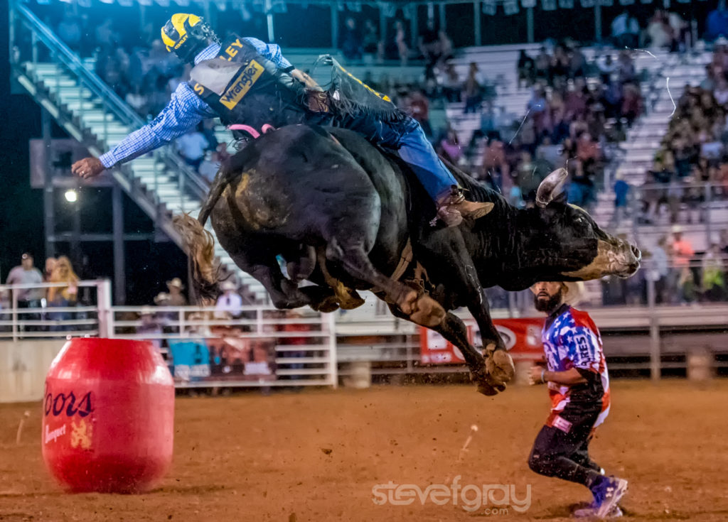 Ute Stampede Rodeo