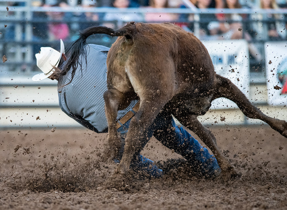 Ute Stampede Rodeo